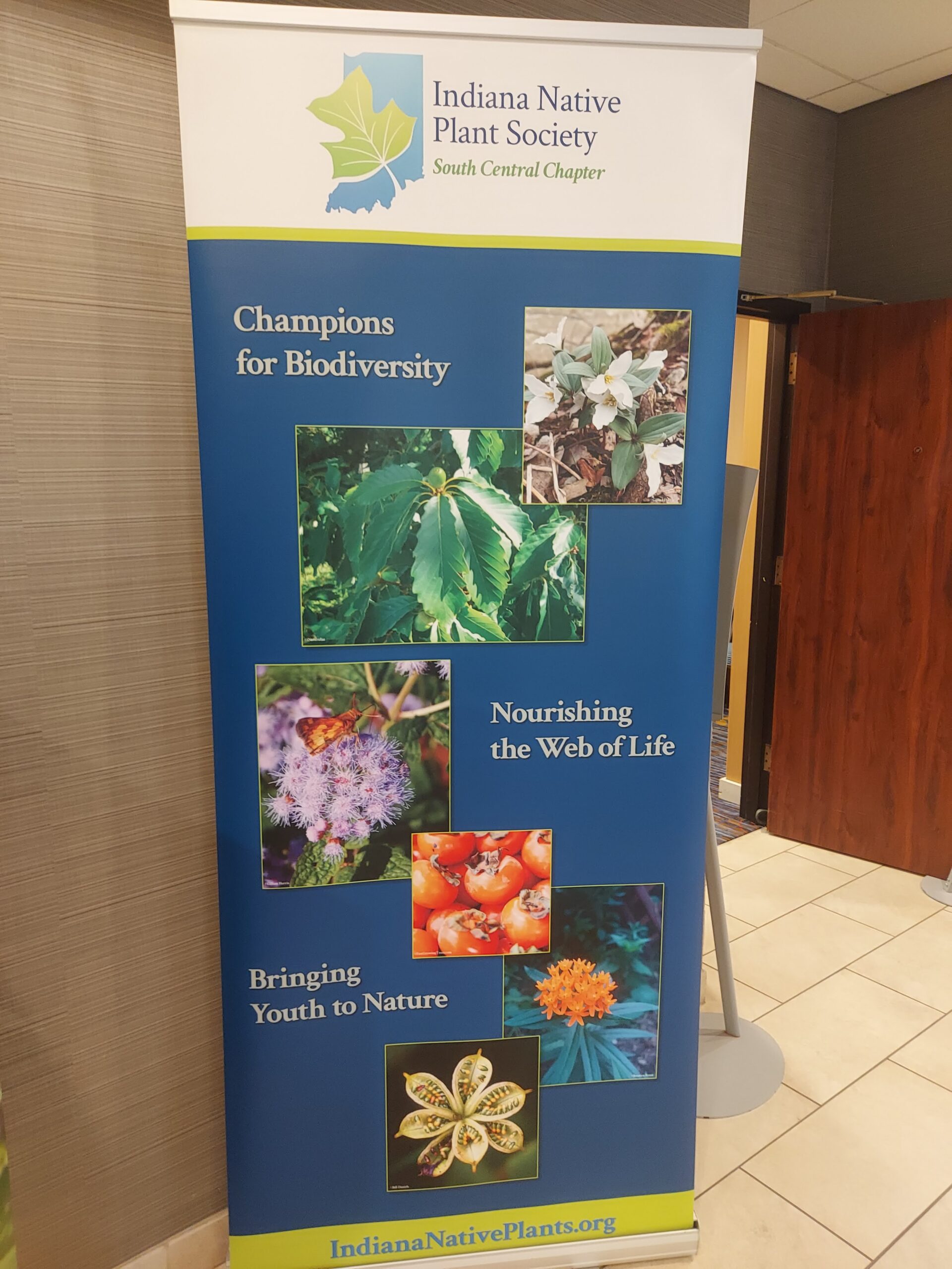 AC2023 Sampler - INPS