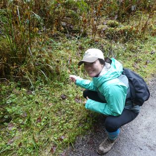 AC2023 Preview - INPS