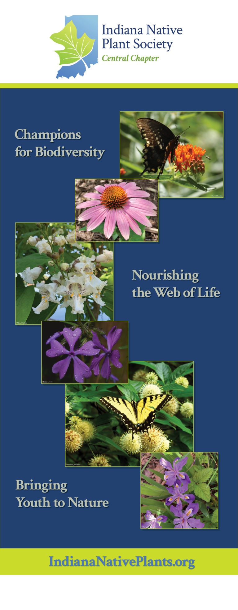 Central Chapter - INPS