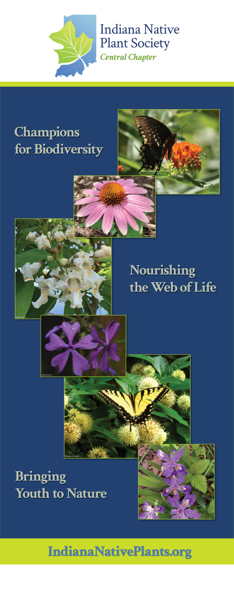 Central Chapter - INPS