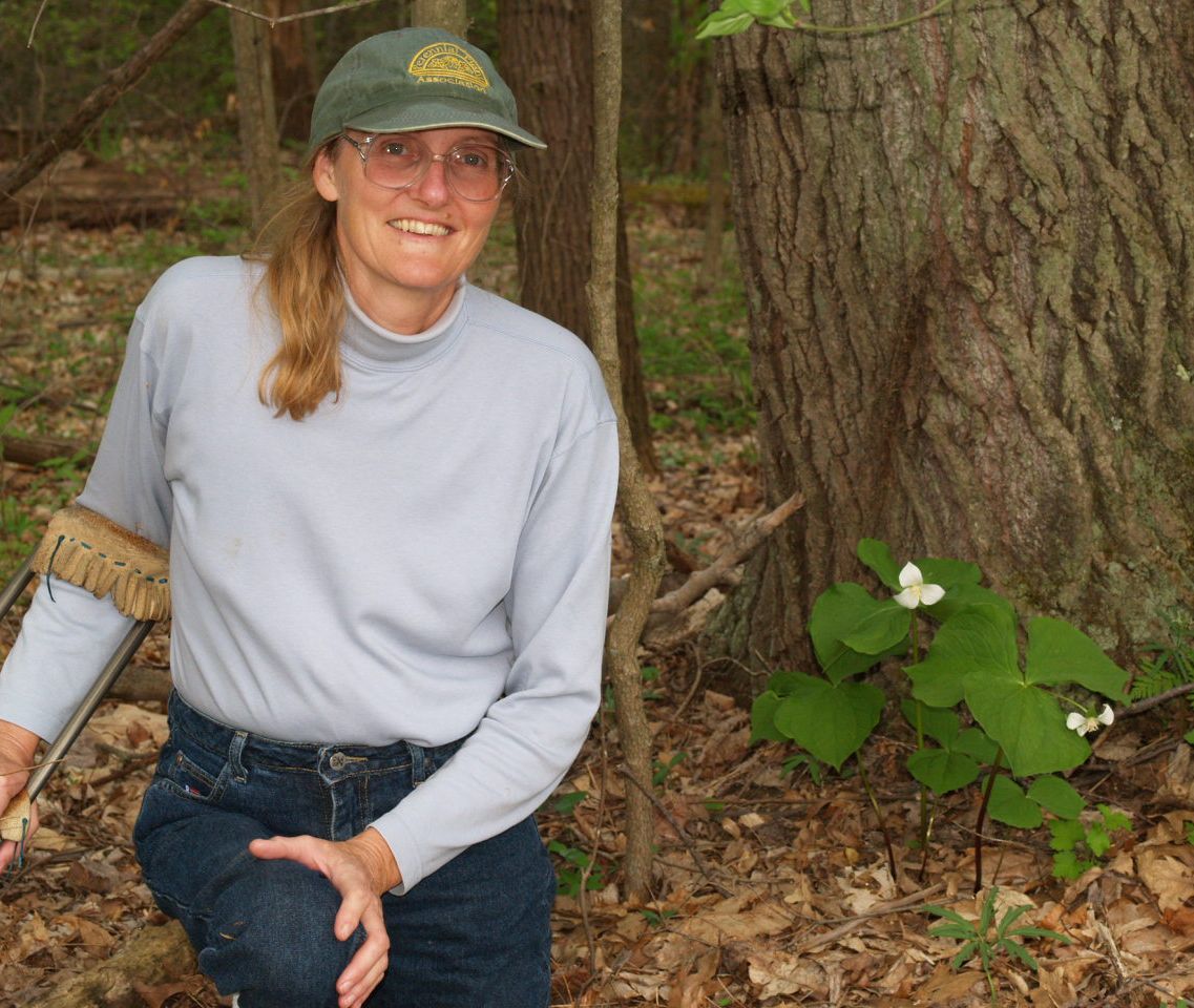 AC2023 Preview - INPS