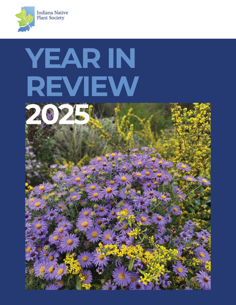 INPS Year in Review 2025 - INPS