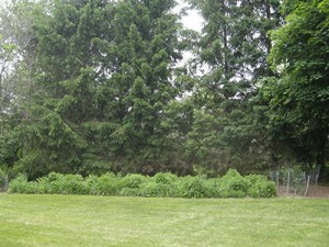 Prairie Plus Photos - INPS