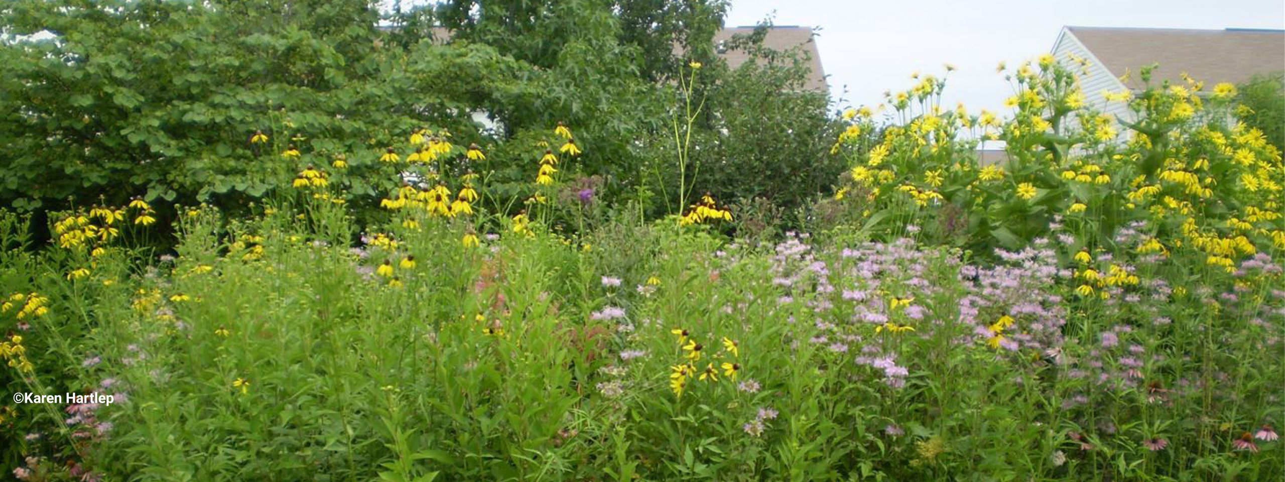 Biodiversity Garden Tours - INPS