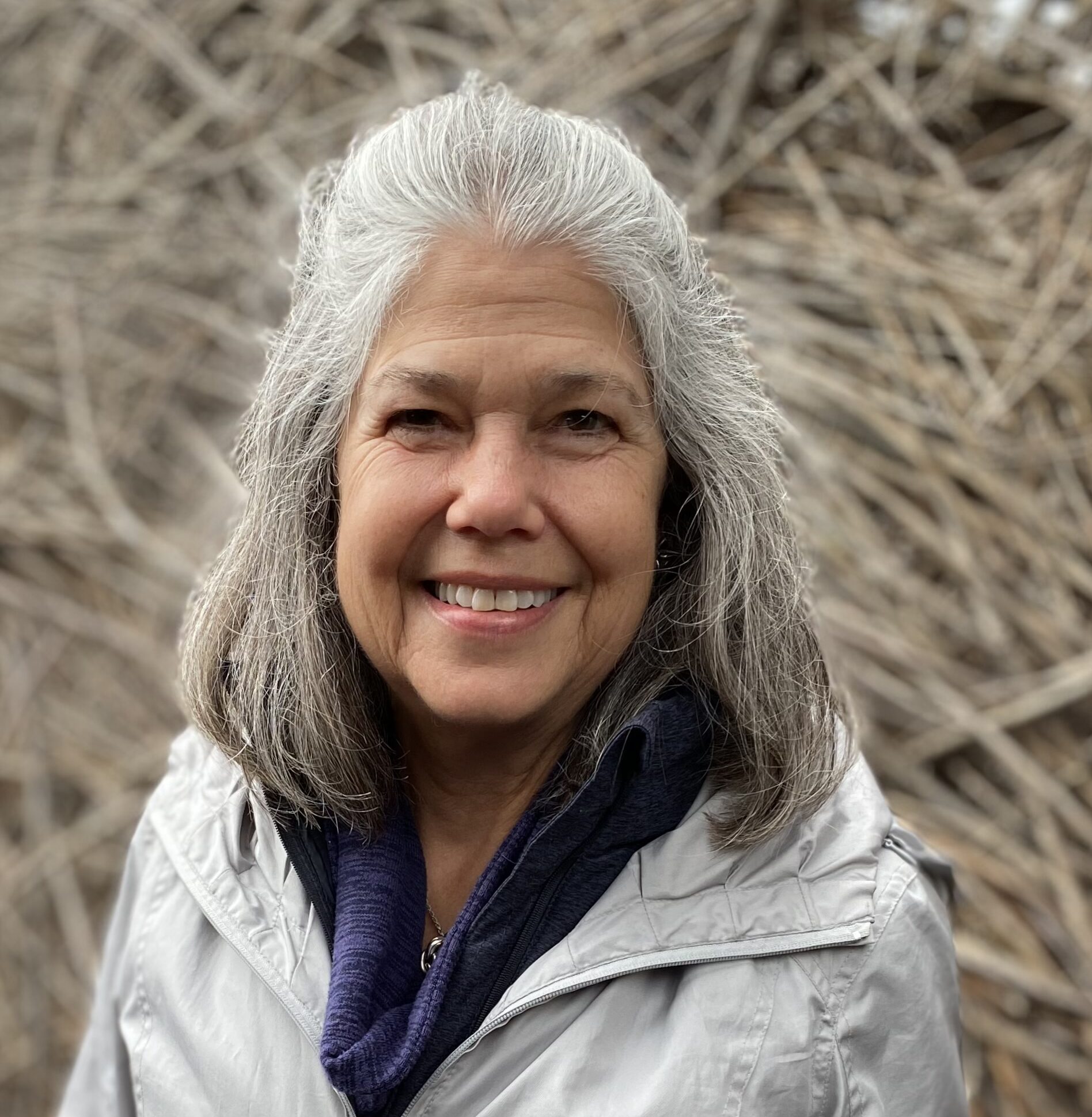 AC2024 Preview - INPS