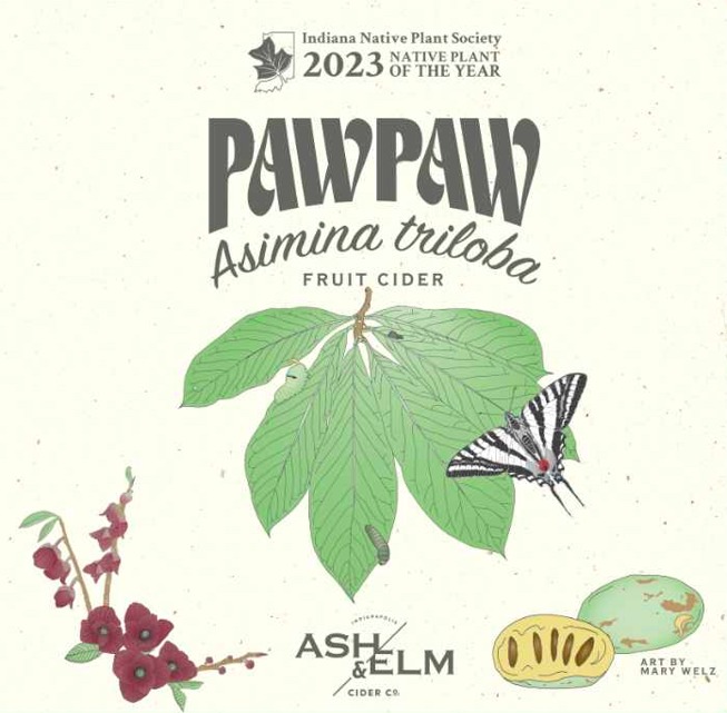 AC2023 Preview - INPS