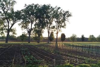 Central Chapter Events & Activities - INPS